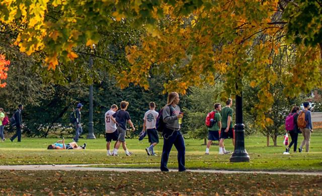 Impact | Marketing & Communications | Ohio State